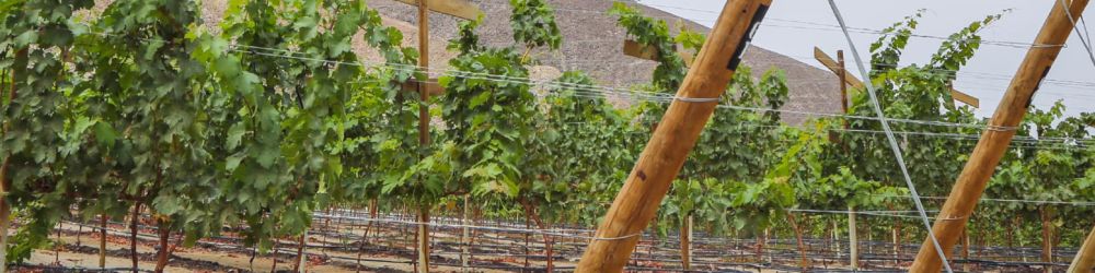 Viñas Queirolo - Intipalka Gran Reserva No.1 2021 - Winedirect