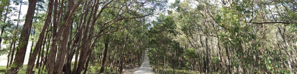 Jumping Juice Sunset Rosé 2022 - Winedirect