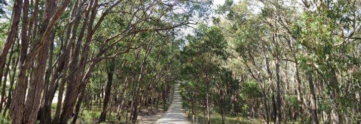 Jumping Juice Sunset Rosé 2022 - Winedirect