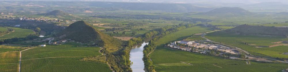 Bodegas LAN Ecológico Organic Rioja Crianza 2021 - Winedirect