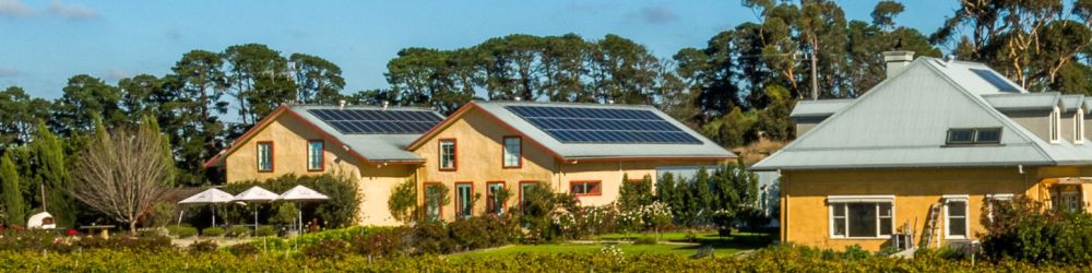 Lethbridge Wine - Winedirect