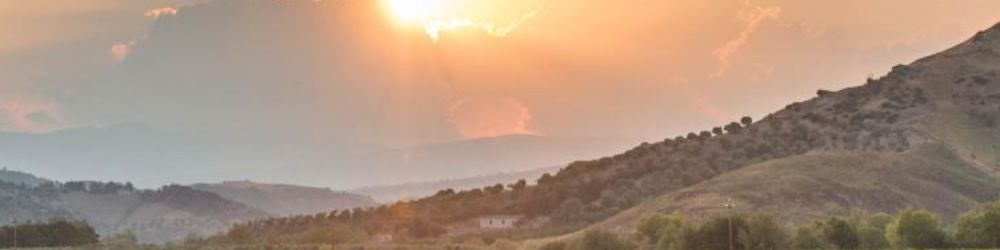 Librandi Cirò Bianco Segno 2024 - Winedirect