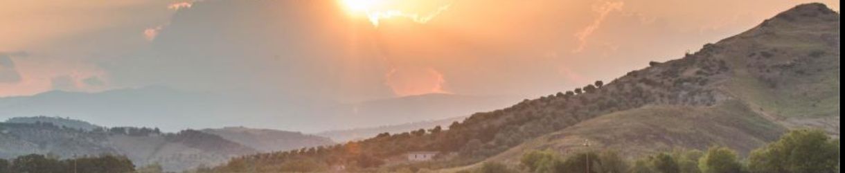 Librandi Cirò Bianco Segno 2024 - Winedirect