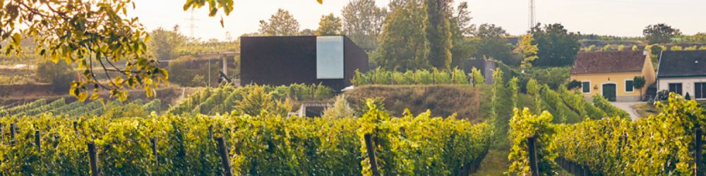 Loimer Käferberg Erste Lage Kamptal Grüner Veltliner 2021 - Winedirect