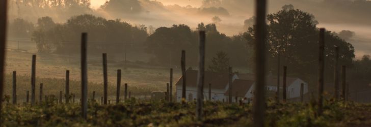 Domaine Pierre Luneau-Papin PM&M Muscadet Garance 2023 - Winedirect
