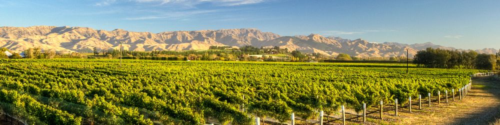 Mahi The Alias Sauvignon Blanc 2019 - Winedirect