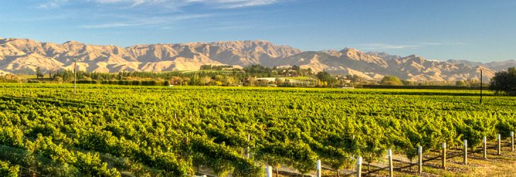 Mahi The Alias Sauvignon Blanc 2019 - Winedirect