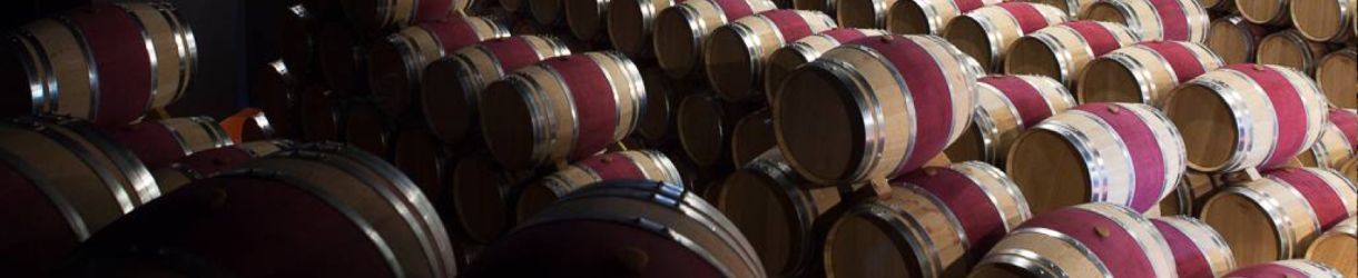 Marqués de Cáceres Rioja Reserva 2019 - Winedirect