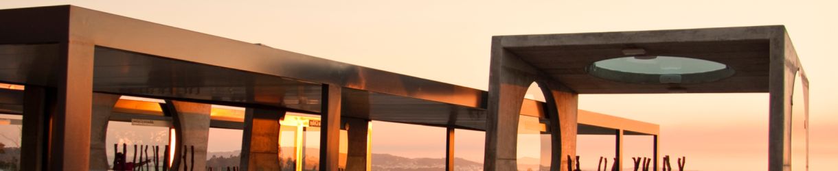 Martín Códax Terras do Cigarron 'Mara Martin' Godello 2024 - Winedirect