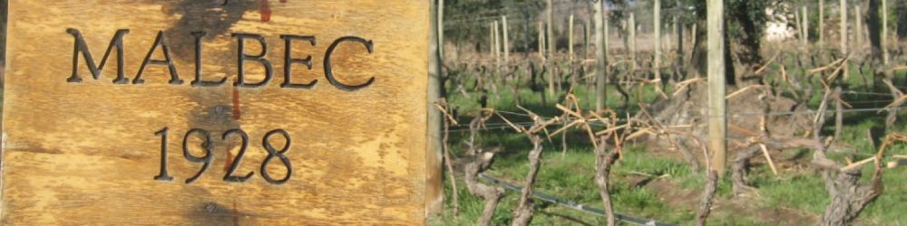 Mendel Apertura Malbec 2022 - Winedirect