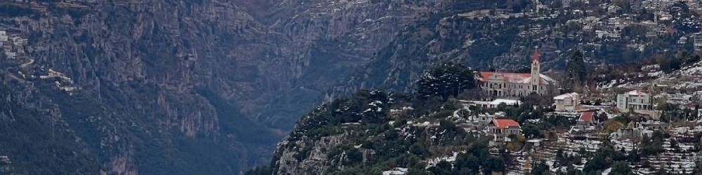 Mersel Phoenix Skin Contact Merwah 2023 - Winedirect