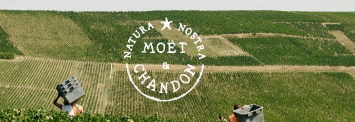 Buy Moët & Chandon Rosé Impérial NV Online - Winedirect