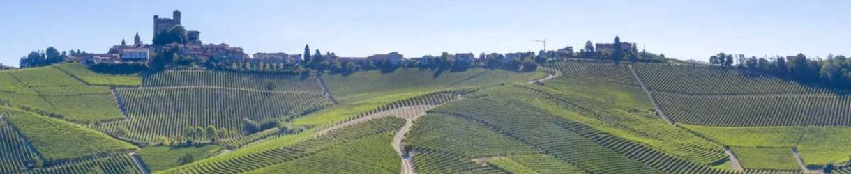 Massolino Barolo 2021 (Half Bottle) - Winedirect