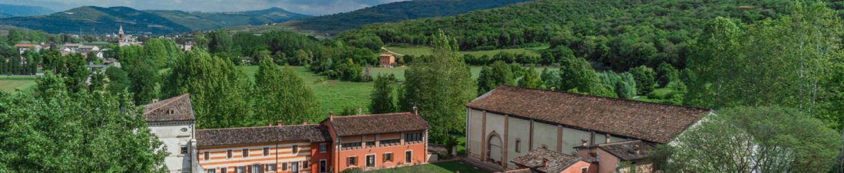 Musella Bianco del Drago Organic 2022 - Winedirect