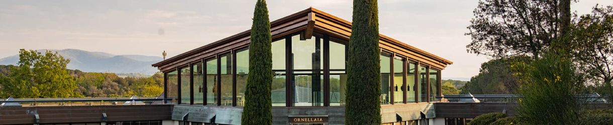 Ornellaia Ornellaia Bolgheri Rosso Superiore DOC 2022 - Winedirect