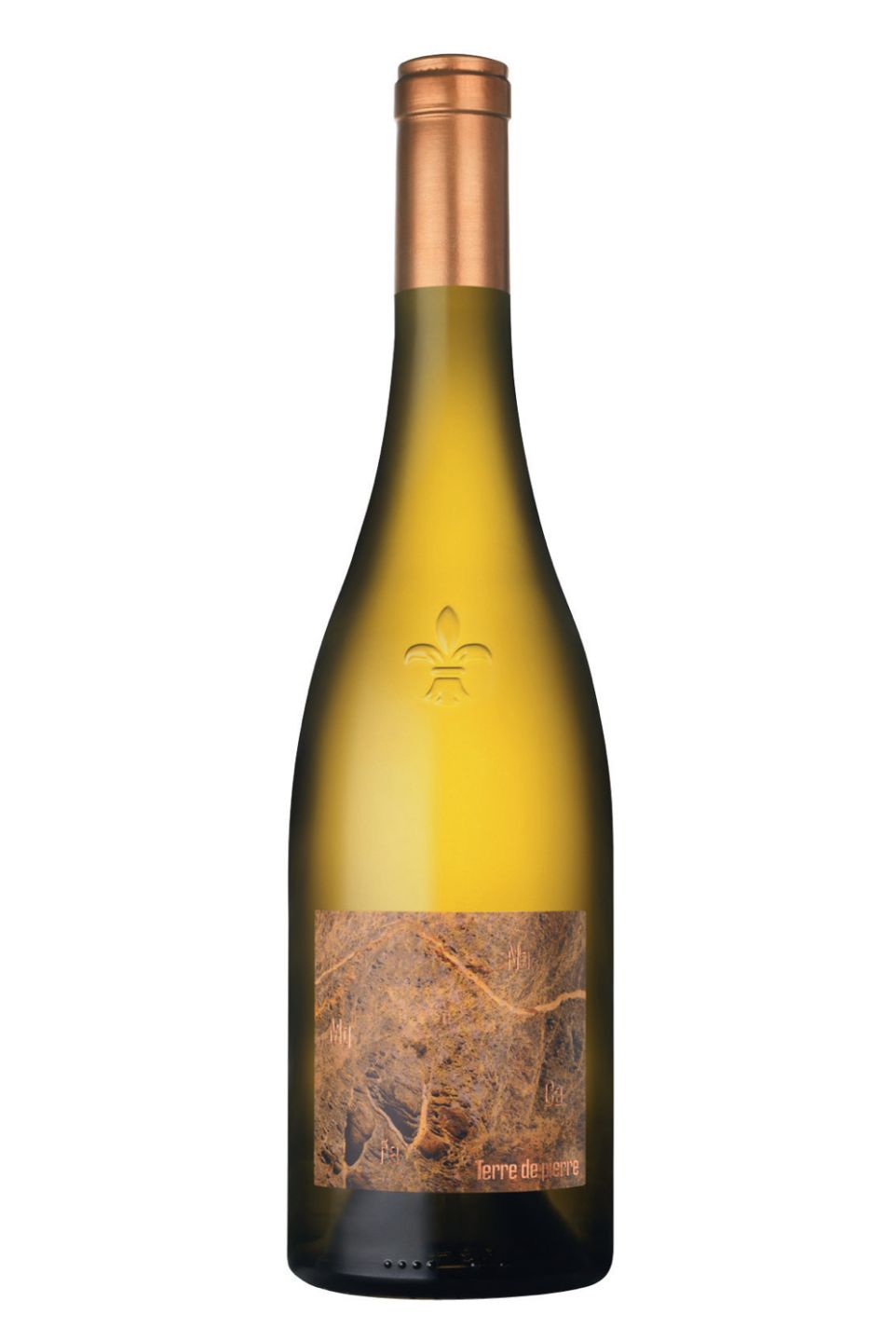 Domaine Pierre Luneau-Papin Terre de Pierre 2022 - Winedirect