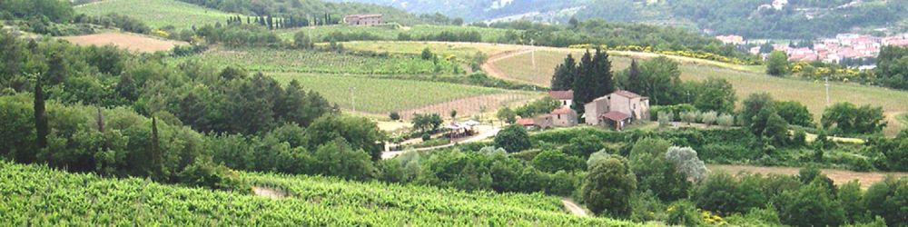 Poggiotondo Terre di Cresci Chianti Classico 2023 - Winedirect