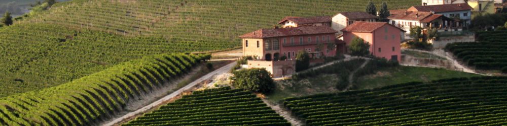 Antinori Prunotto Fiulot Barbera d'Asti DOCG 2023 - Winedirect