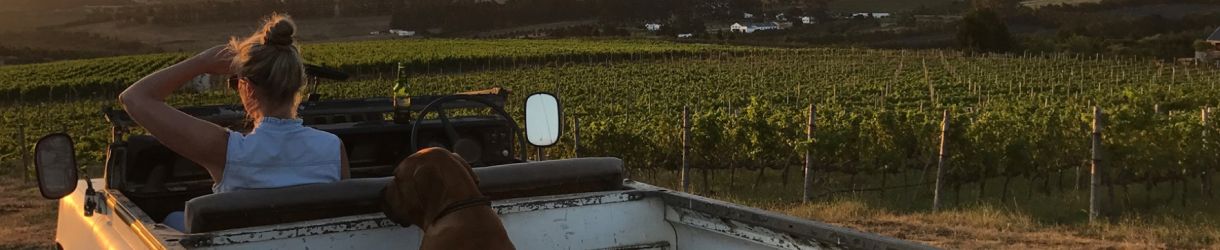 Restless River Wine - Winedirect