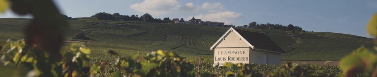 Louis Roederer Collection 246 NV (Half Bottle) - Winedirect