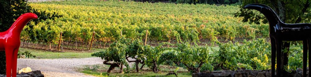 Rumor Cotes de Provence Rosé 2021 (Magnum) - Winedirect