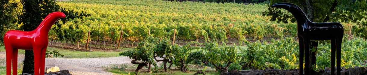 Rumor Cotes de Provence Rosé 2021 (Magnum) - Winedirect