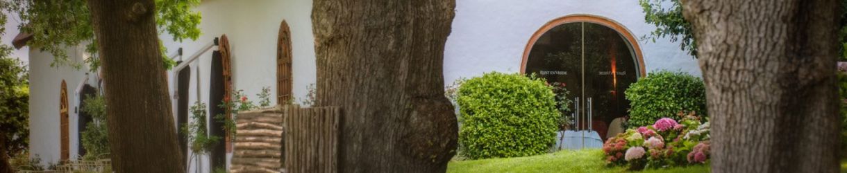 Rust en Vrede Estate Vineyards Syrah 2021 - Winedirect