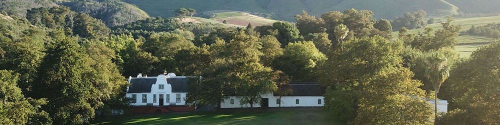 Rustenberg Chardonnay 2023 - Winedirect