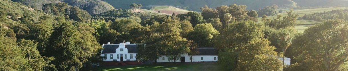 Rustenberg Chardonnay 2023 - Winedirect