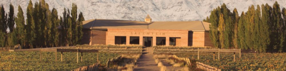 Salentein Portillo Pinot Noir 2024 - Winedirect