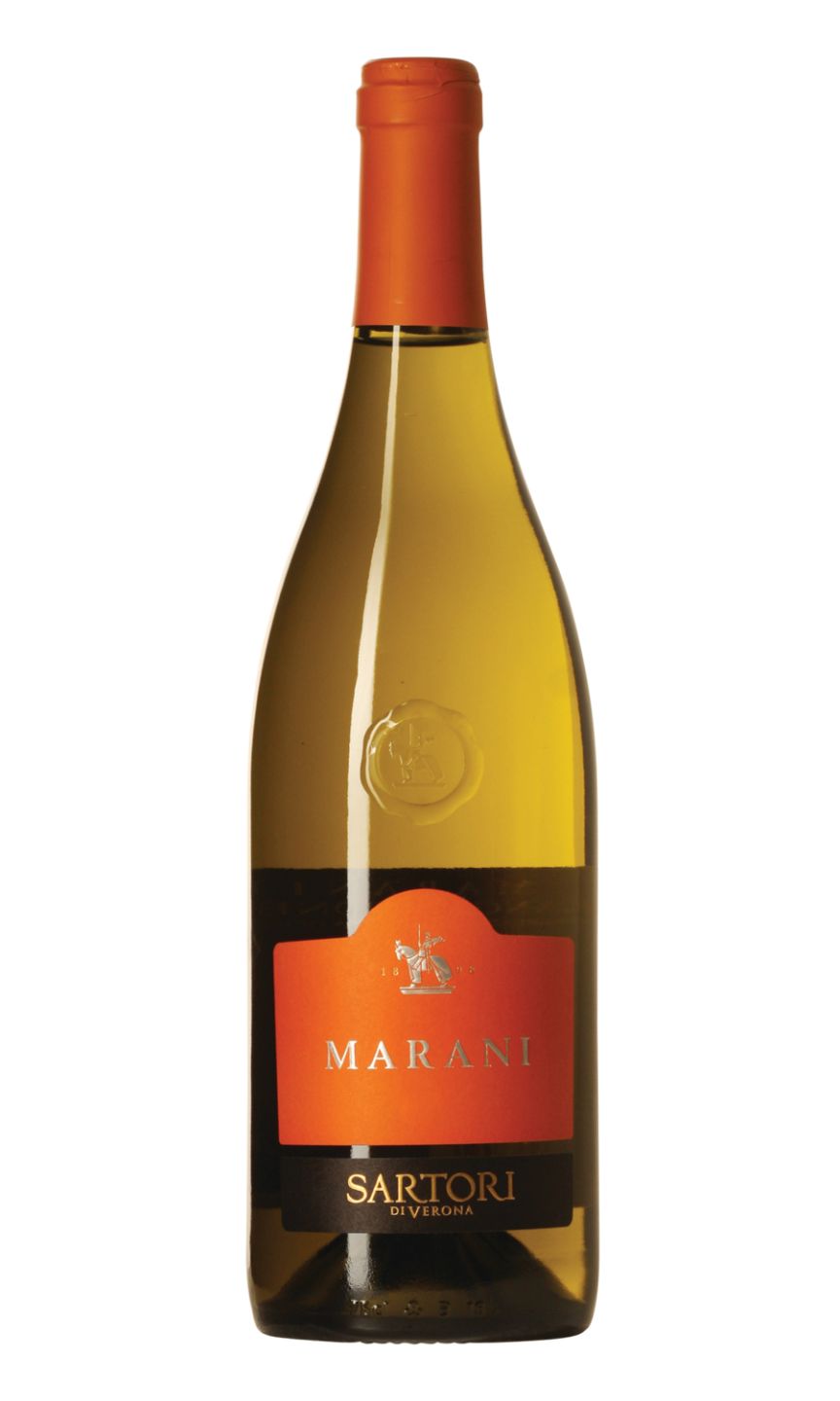 Sartori Marani Bianco Veronese IGT 2023 - Winedirect