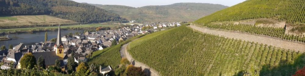 Buy Weingut Selbach-Oster Wine Online - Winedirect