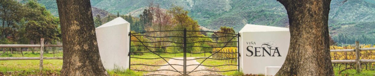 Seña Wine - Winedirect
