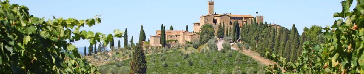 La Serre Merlot Vin de Pays d'Oc 2023 - Winedirect