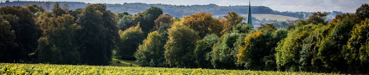 Simpsons Wine Estate Wine - Winedirect