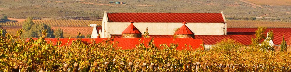 Springfield Estate Miss Lucy White Blend 2024 - Winedirect