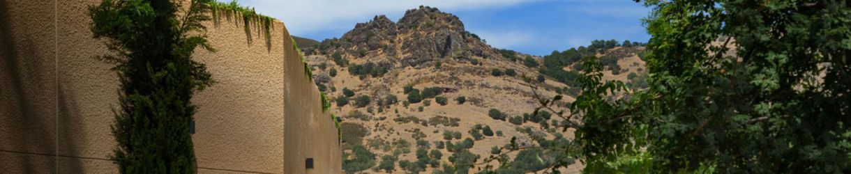 Stag's Leap Wine Cellars Hands of Time Red Blend 2019 - Winedirect