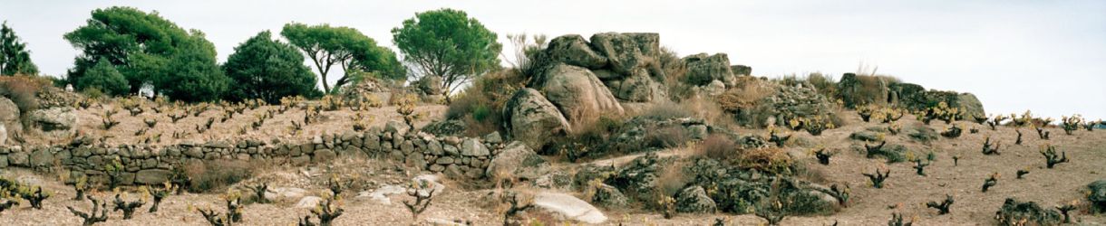 Telmo Rodriguez Mountain Blanco 2021 - Winedirect