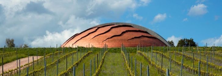 Tenute Lunelli - Tenuta Castelbuono Ziggurat 2020 - Winedirect