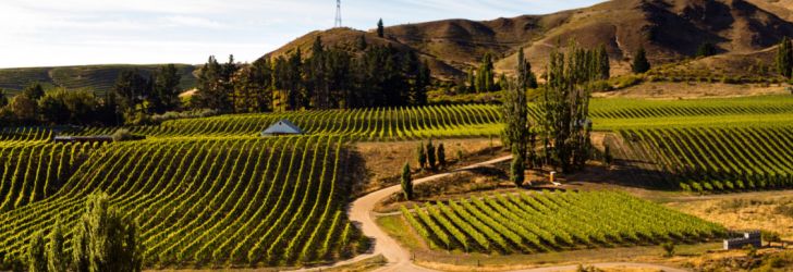 Two Paddocks Wine - Winedirect