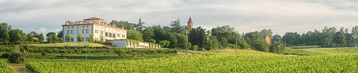 Umberto Cesari Moma Bianco 2024 - Winedirect