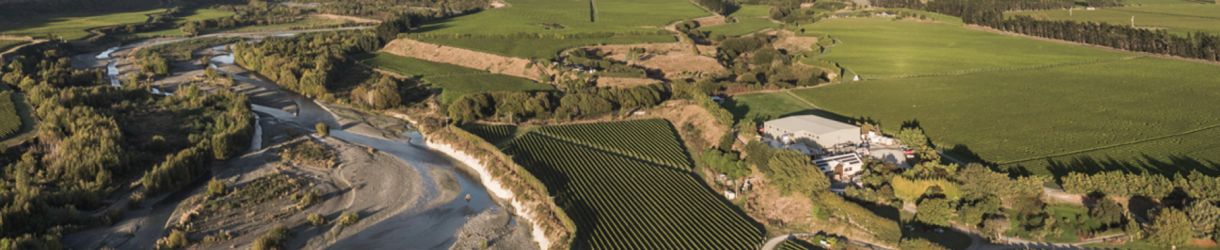 Vavasour Sauvignon Blanc 2024 - Winedirect