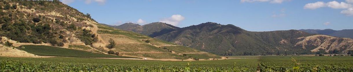 Viña VIK Stonevik 2023 - Winedirect