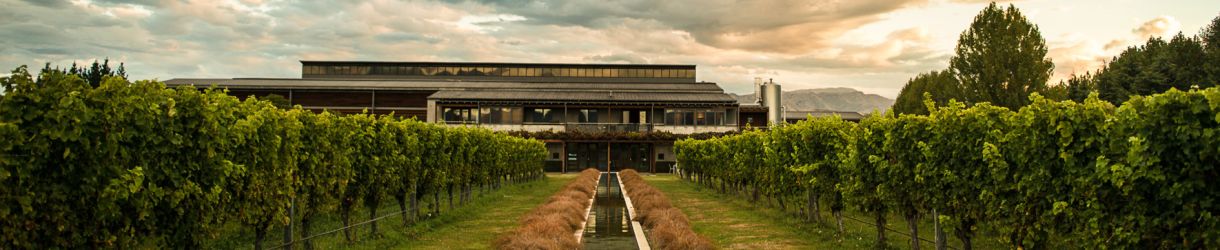 Villa Maria EarthGarden Chardonnay 2021 - Winedirect